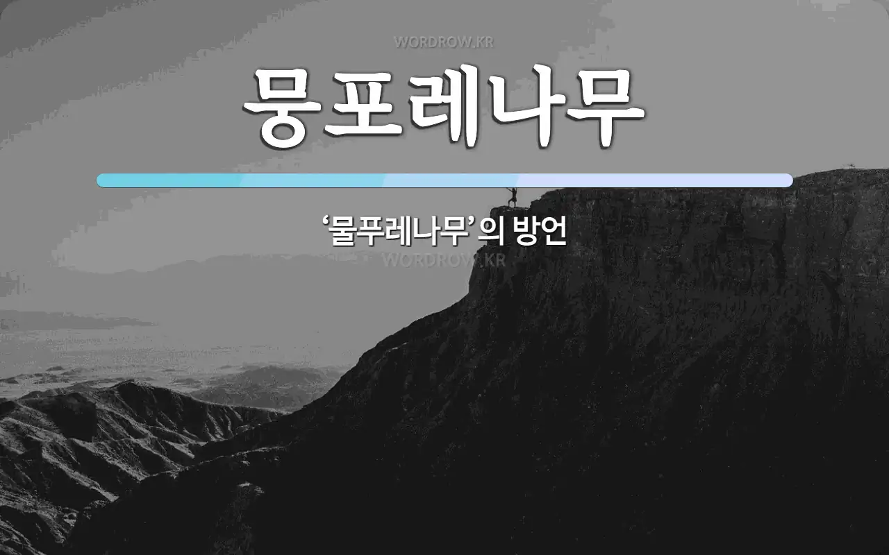 뭉포레나무 뜻 ‘물푸레나무의 방언