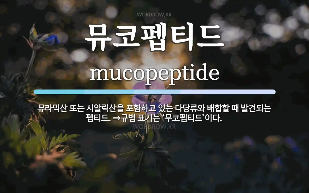 뮤코펩티드 뜻 뮤라믹산 또는 시알릭산을 포함하고 있는 다당류와 배합할 때 발견되는 펩티드 ⇒규범 표기는