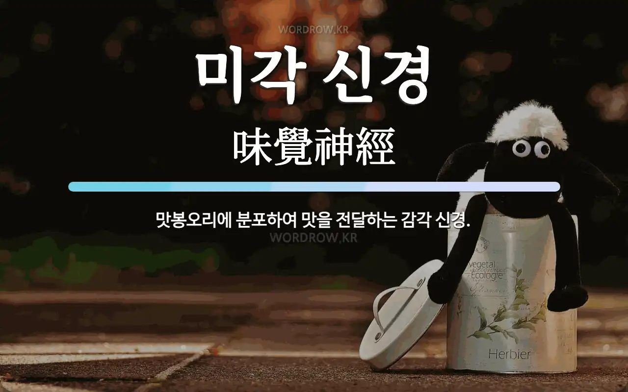 미각 신경 뜻 맛봉오리에 분포하여 맛을 전달하는 감각 신경