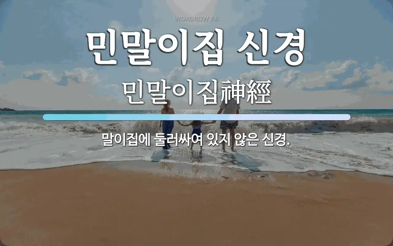 민말이집 신경 뜻 말이집에 둘러싸여 있지 않은 신경