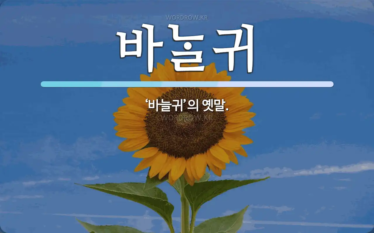 바 귀 뜻 ‘바늘귀의 옛말