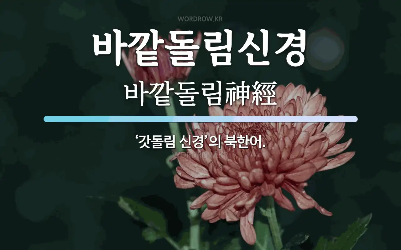 바깥돌림신경 뜻 ‘갓돌림 신경의 북한어