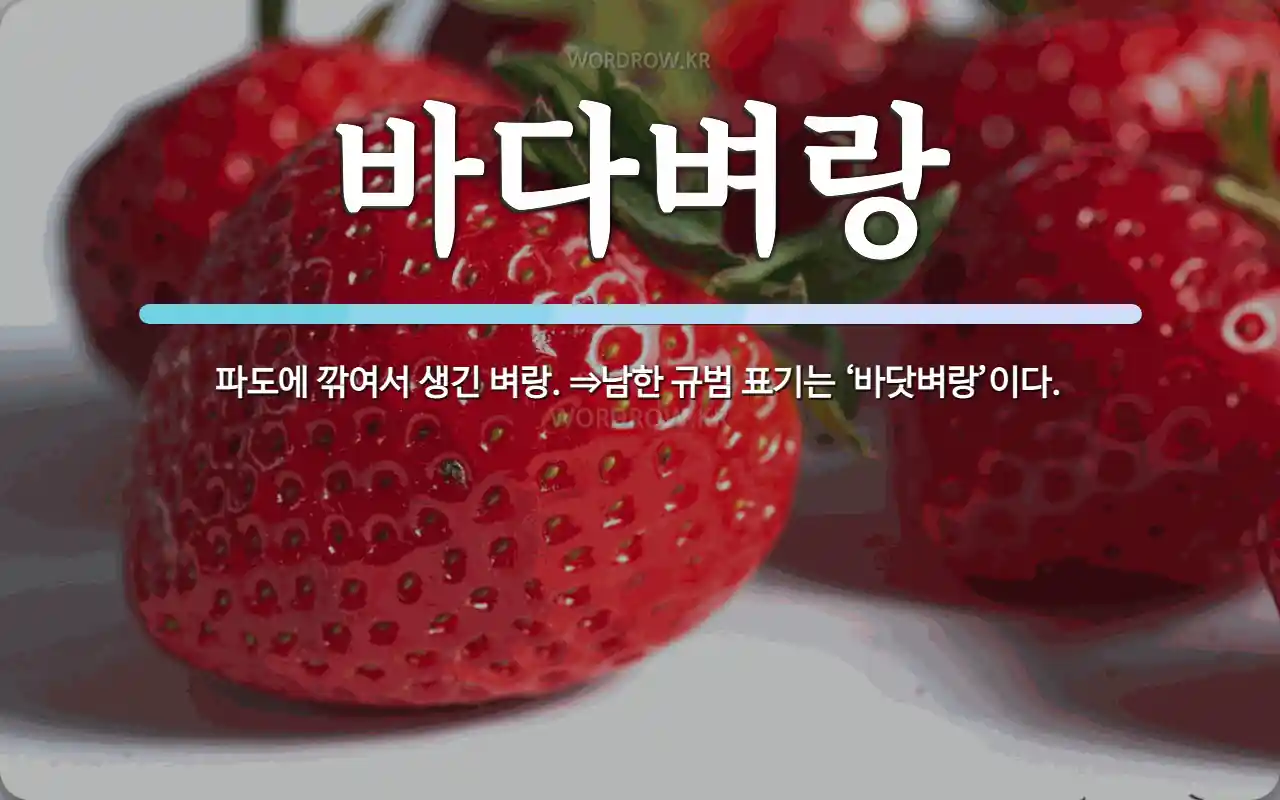 바다벼랑 뜻 파도에 깎여서 생긴 벼랑 ⇒남한 규범 표기는 ‘바닷벼랑이다