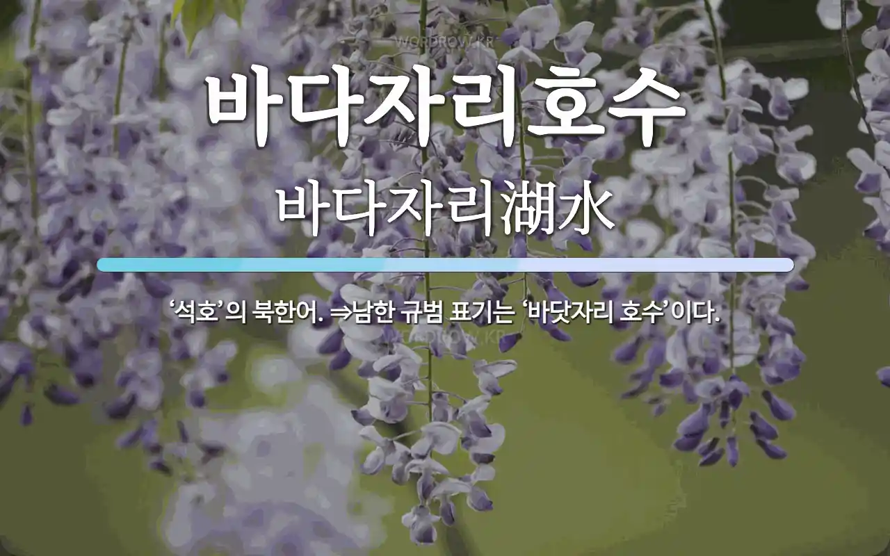 바다자리호수 뜻 ‘석호의 북한어 ⇒남한 규범 표기는 ‘바닷자리 호수이다