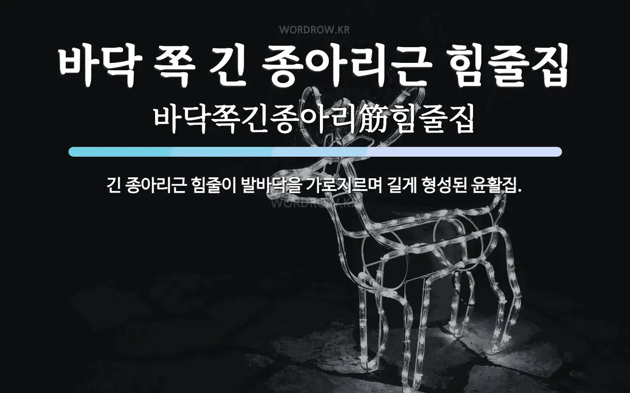 바닥 쪽 긴 종아리근 힘줄집 뜻 긴 종아리근 힘줄이 발바닥을 가로지르며 길게 형성된 윤활집