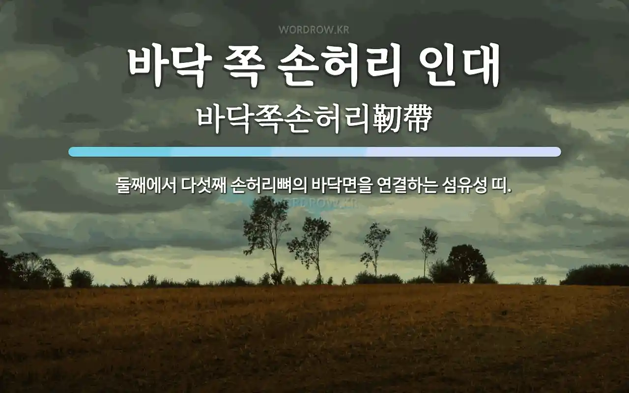 바닥 쪽 손허리 인대 뜻 둘째에서 다섯째 손허리뼈의 바닥면을 연결하는 섬유성 띠