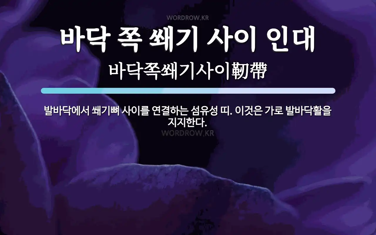 바닥 쪽 쐐기 사이 인대 뜻 발바닥에서 쐐기뼈 사이를 연결하는 섬유성 띠 이것은 가로 발바닥활을 지지한다
