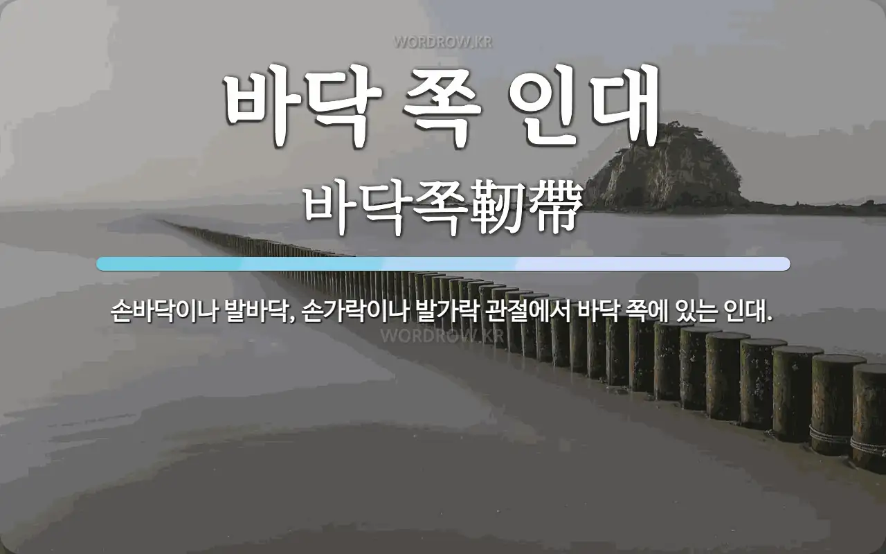 바닥 쪽 인대 뜻 손바닥이나 발바닥 손가락이나 발가락 관절에서 바닥 쪽에 있는 인대