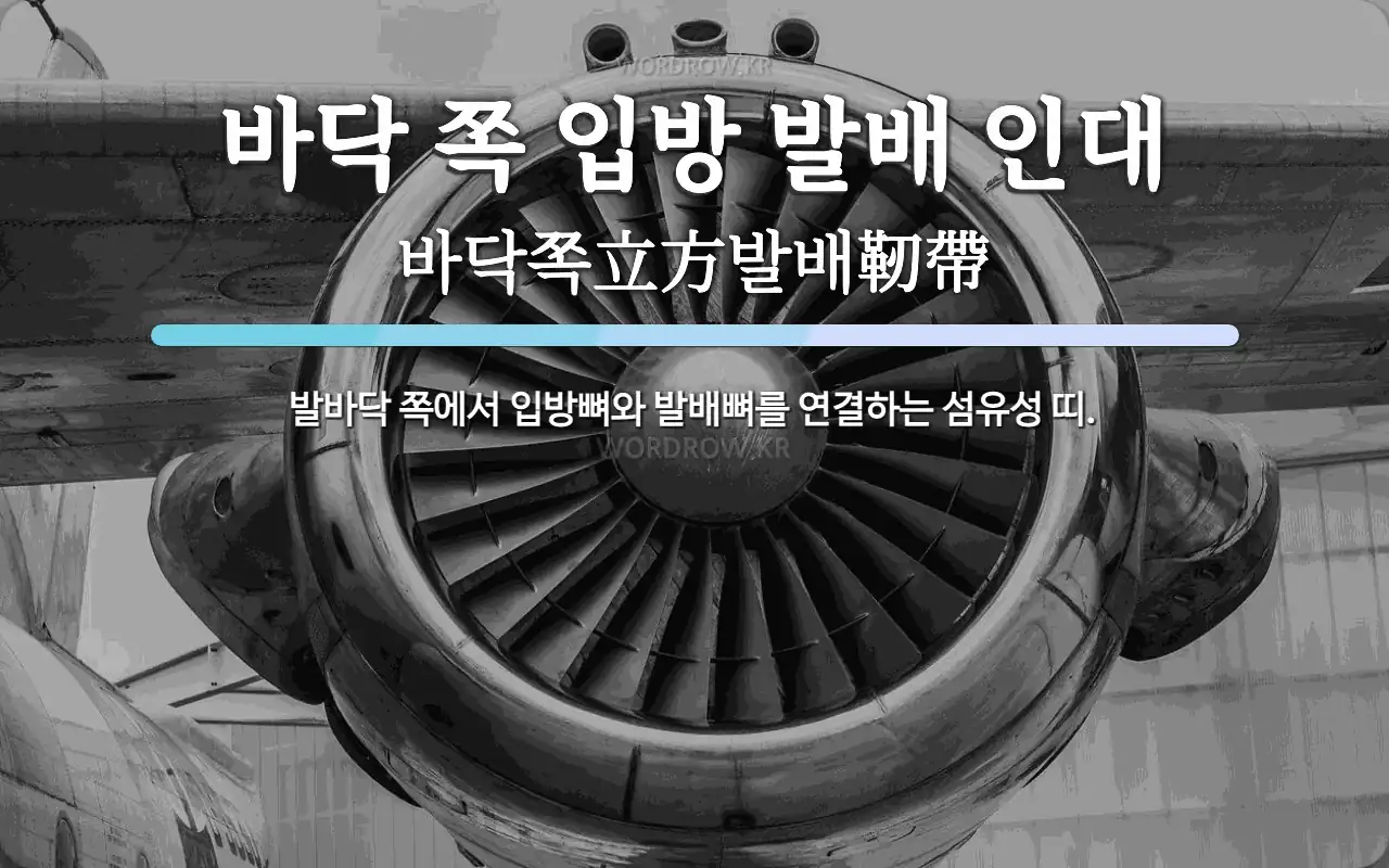 바닥 쪽 입방 발배 인대 뜻 발바닥 쪽에서 입방뼈와 발배뼈를 연결하는 섬유성 띠