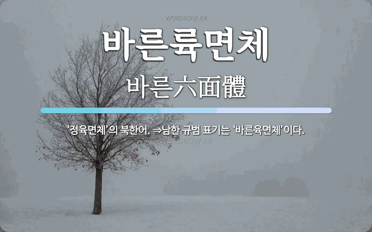 바른륙면체 뜻 ‘정육면체의 북한어 ⇒남한 규범 표기는 ‘바른육면체이다