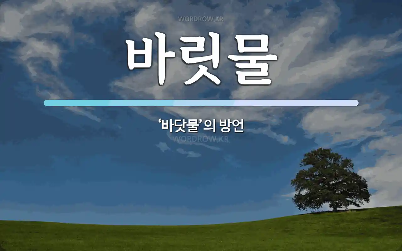 바릿물 뜻 ‘바닷물의 방언