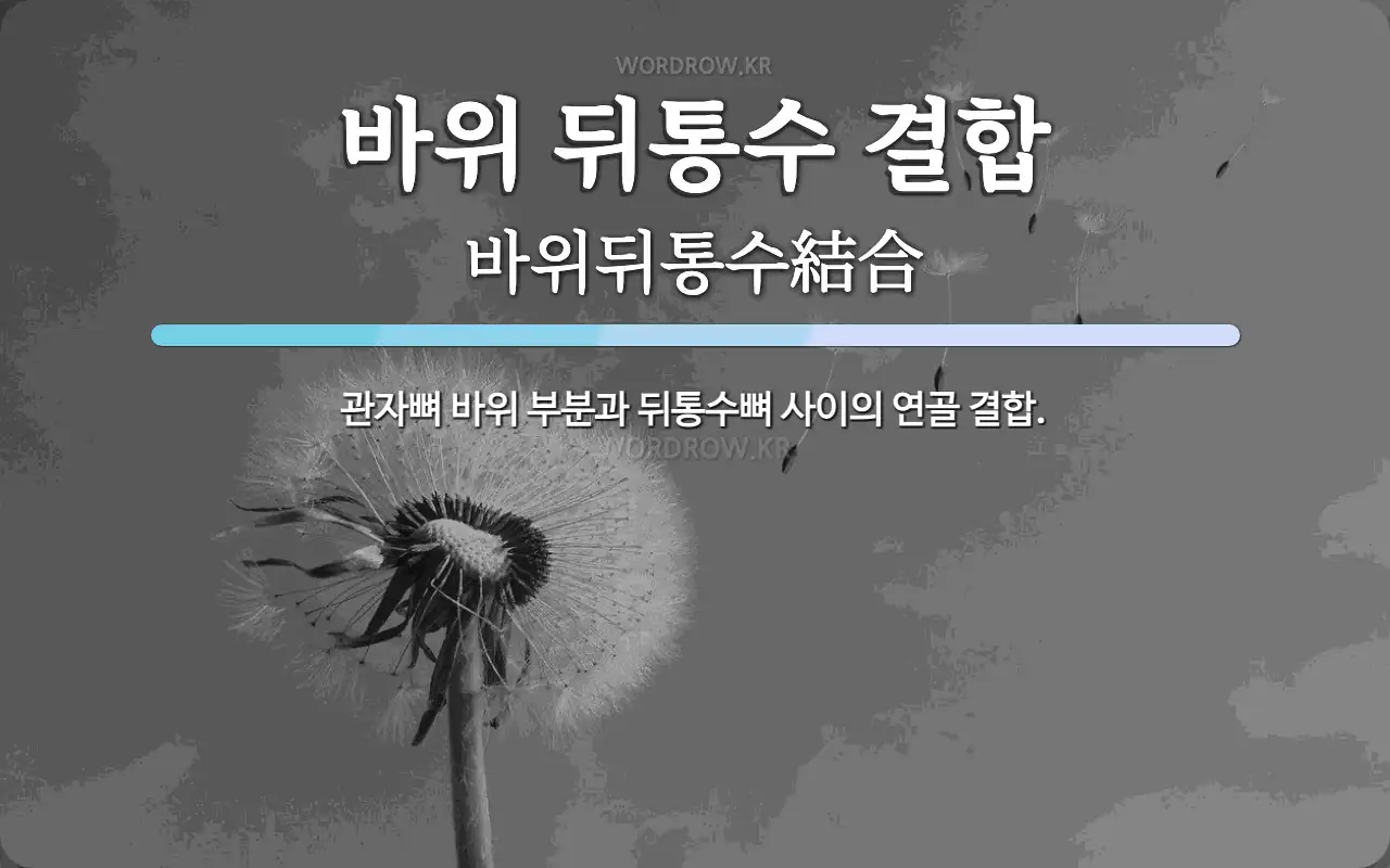 바위 뒤통수 결합 뜻 관자뼈 바위 부분과 뒤통수뼈 사이의 연골 결합