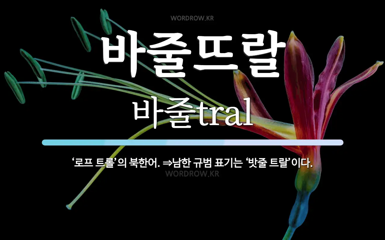 바줄뜨랄 뜻 ‘로프 트롤의 북한어 ⇒남한 규범 표기는 ‘밧줄 트랄이다