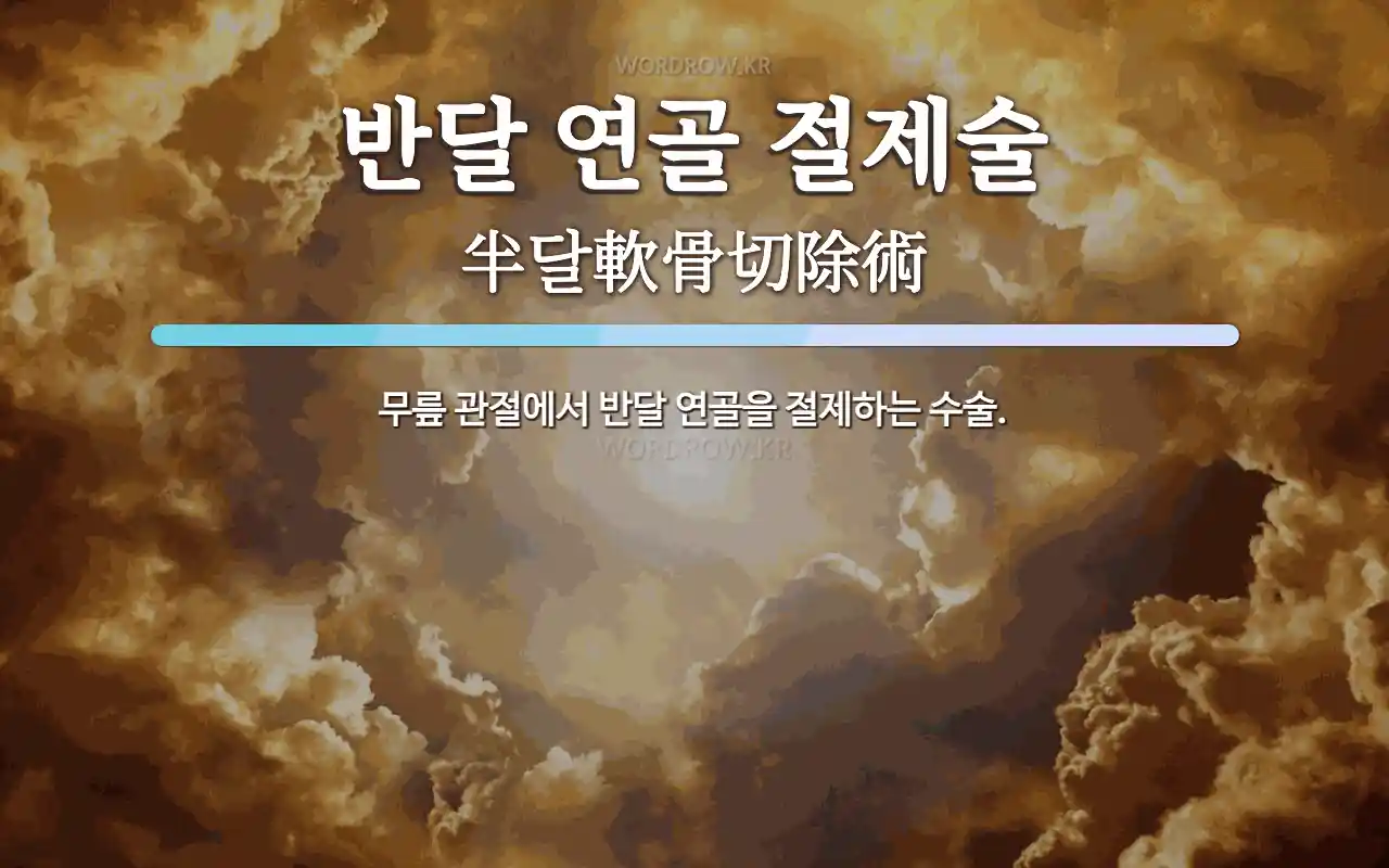 반달 연골 절제술 뜻 무릎 관절에서 반달 연골을 절제하는 수술