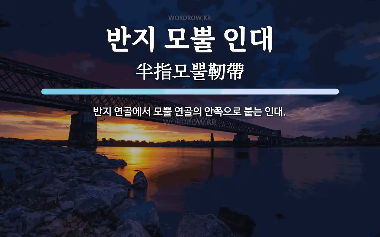 반지 모뿔 인대 뜻 반지 연골에서 모뿔 연골의 안쪽으로 붙는 인대