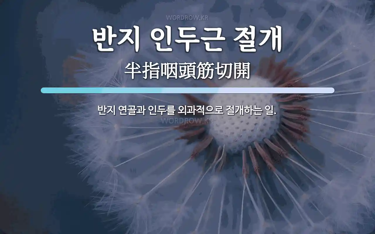반지 인두근 절개 뜻 반지 연골과 인두를 외과적으로 절개하는 일