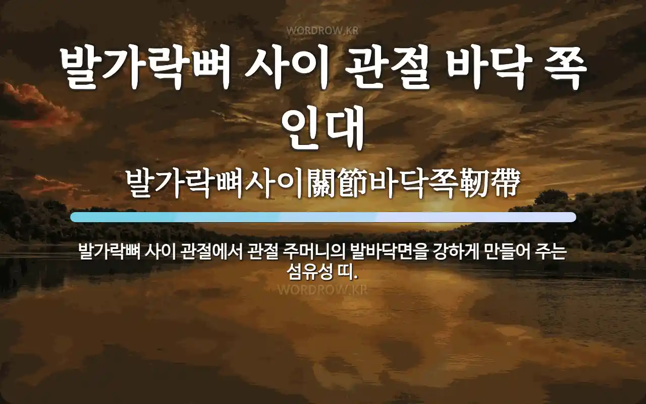 발가락뼈 사이 관절 바닥 쪽 인대 뜻 발가락뼈 사이 관절에서 관절 주머니의 발바닥면을 강하게 만들어 주는 섬유성 띠