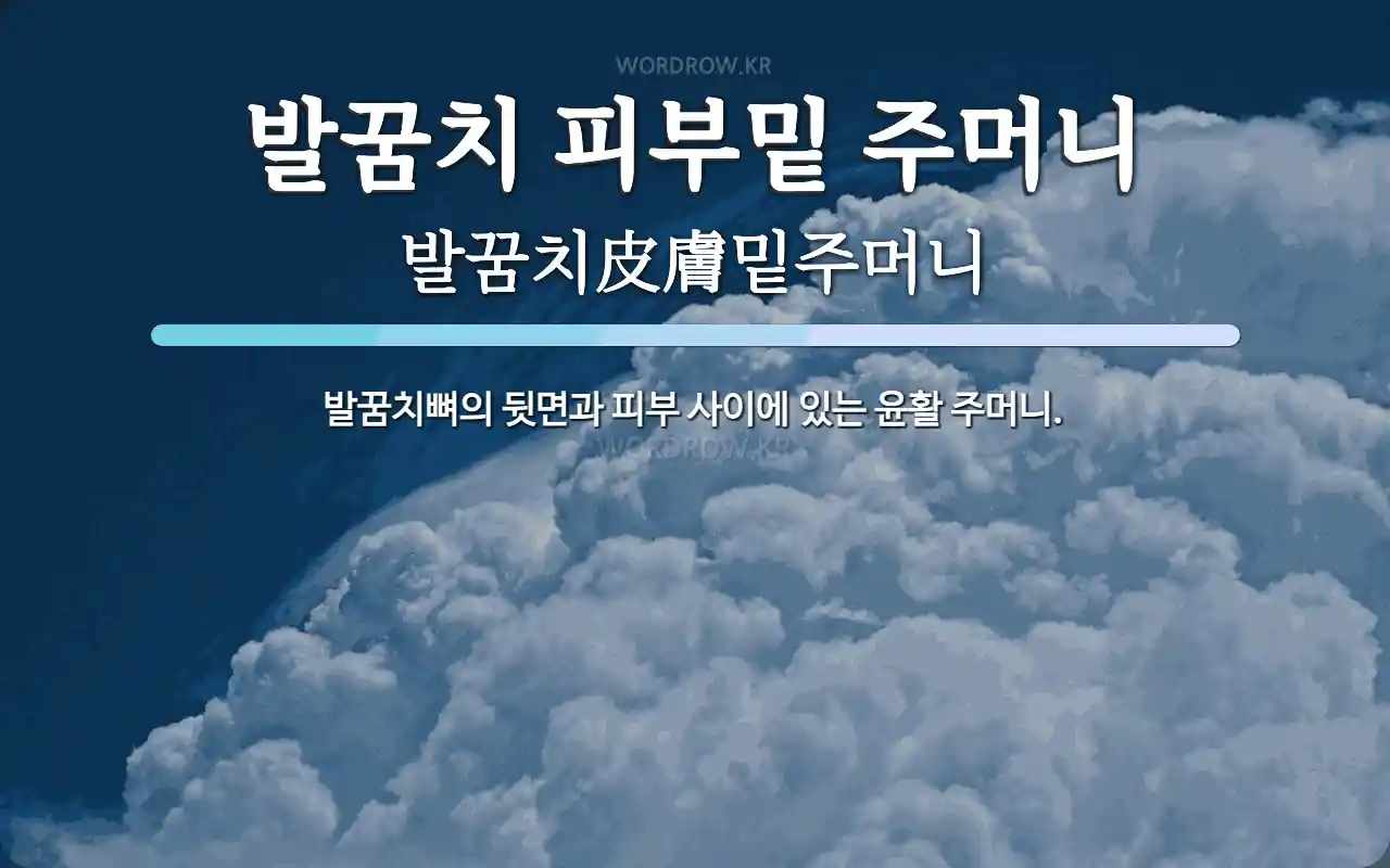 발꿈치 피부밑 주머니 뜻 발꿈치뼈의 뒷면과 피부 사이에 있는 윤활 주머니