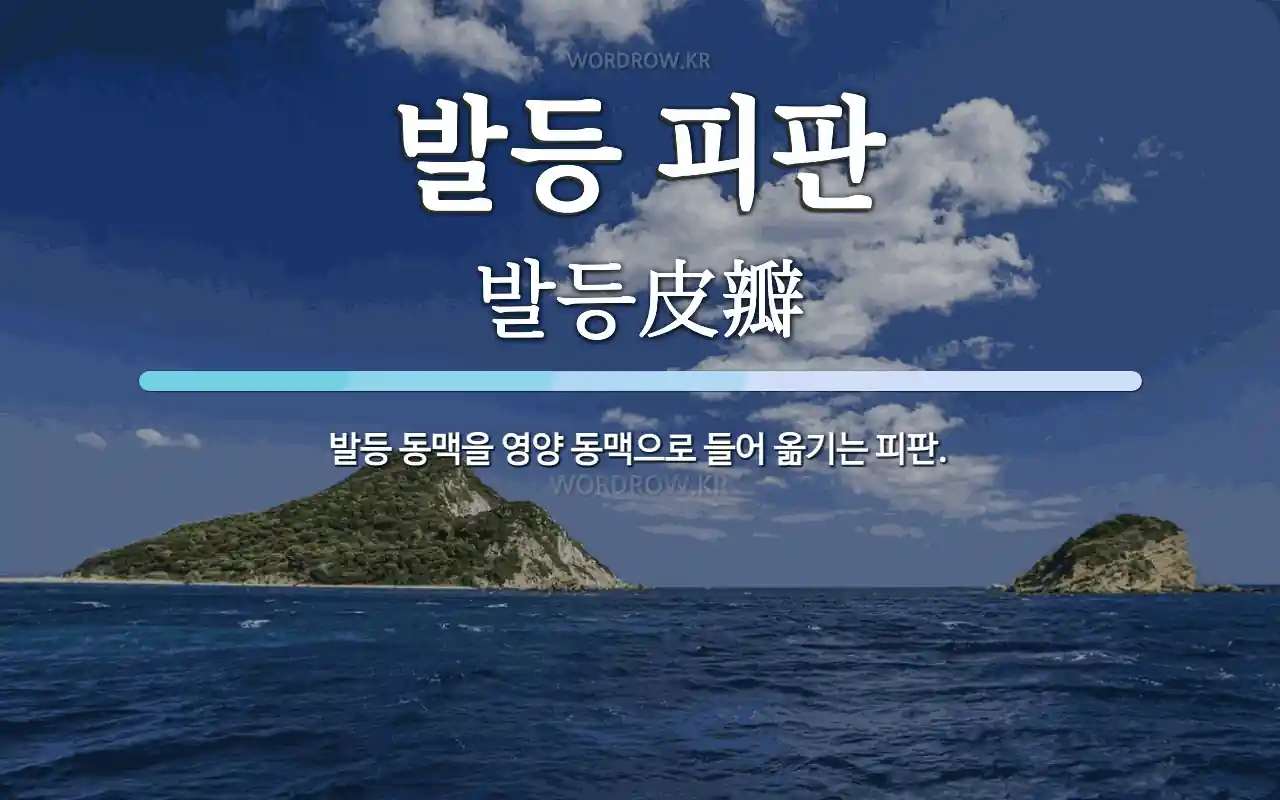 발등 피판 뜻 발등 동맥을 영양 동맥으로 들어 옮기는 피판