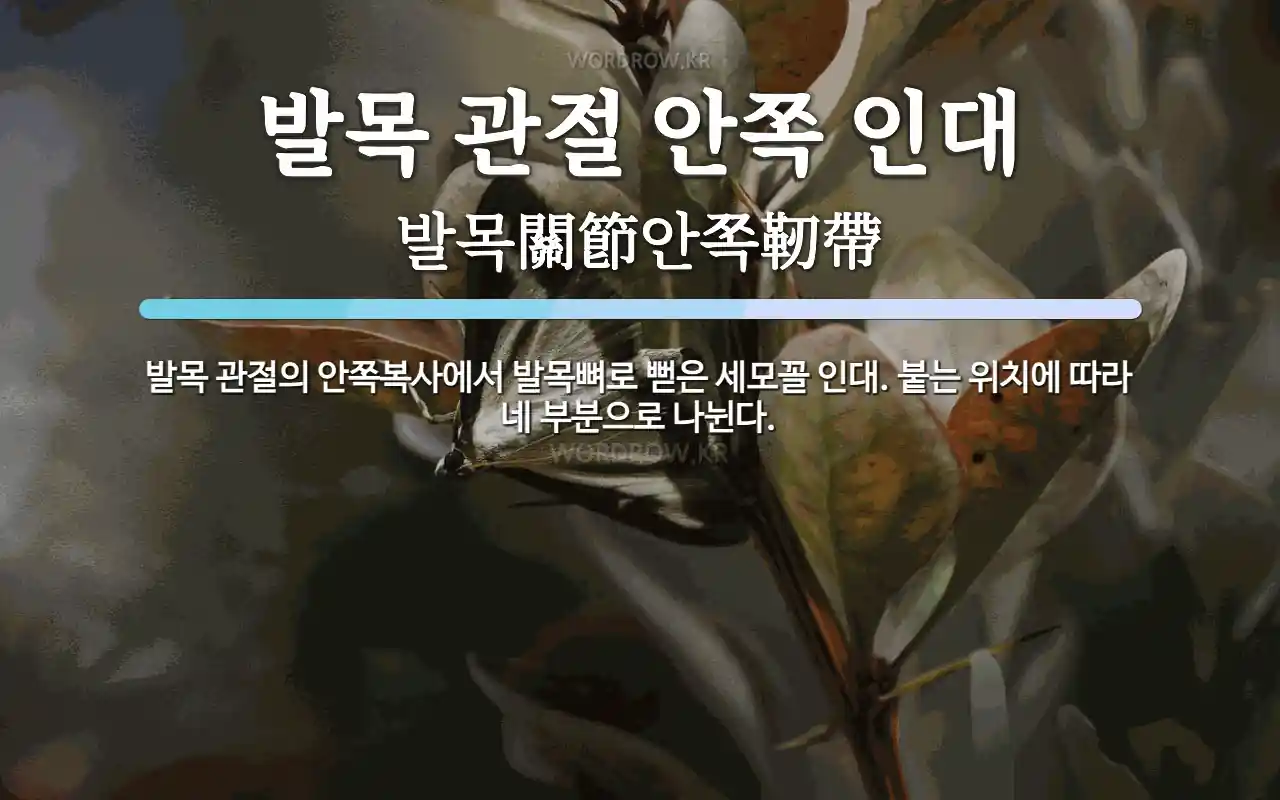 발목 관절 안쪽 인대 뜻 발목 관절의 안쪽복사에서 발목뼈로 뻗은 세모꼴 인대 붙는 위치에 따라 네 부분으로 나뉜다