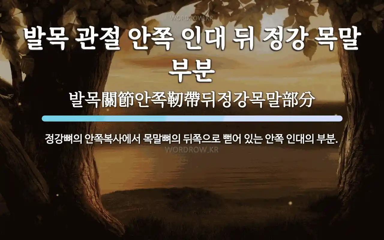 발목 관절 안쪽 인대 뒤 정강 목말 부분 뜻 정강뼈의 안쪽복사에서 목말뼈의 뒤쪽으로 뻗어 있는 안쪽 인대의 부분