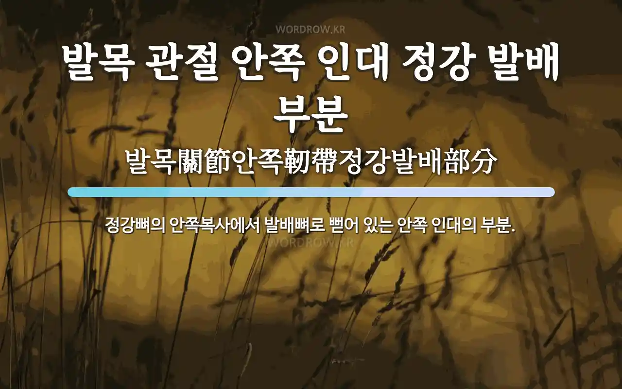 발목 관절 안쪽 인대 정강 발배 부분 뜻 정강뼈의 안쪽복사에서 발배뼈로 뻗어 있는 안쪽 인대의 부분