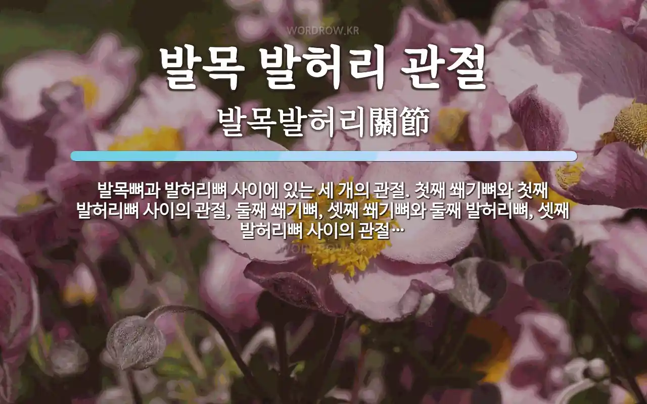 발목 발허리 관절 뜻 발목뼈과 발허리뼈 사이에 있는 세 개의 관절 첫째 쐐기뼈와 첫째 발허리뼈 사이의 관절