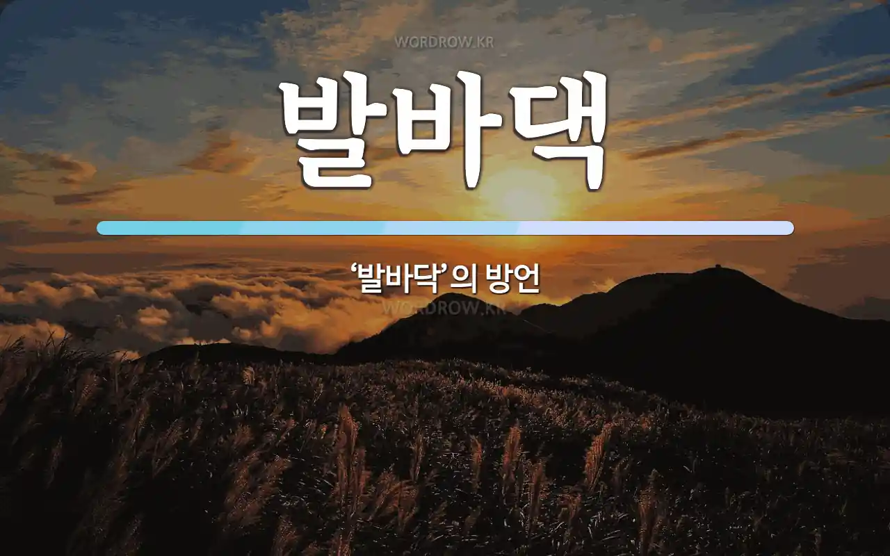 발바댁 뜻 ‘발바닥의 방언