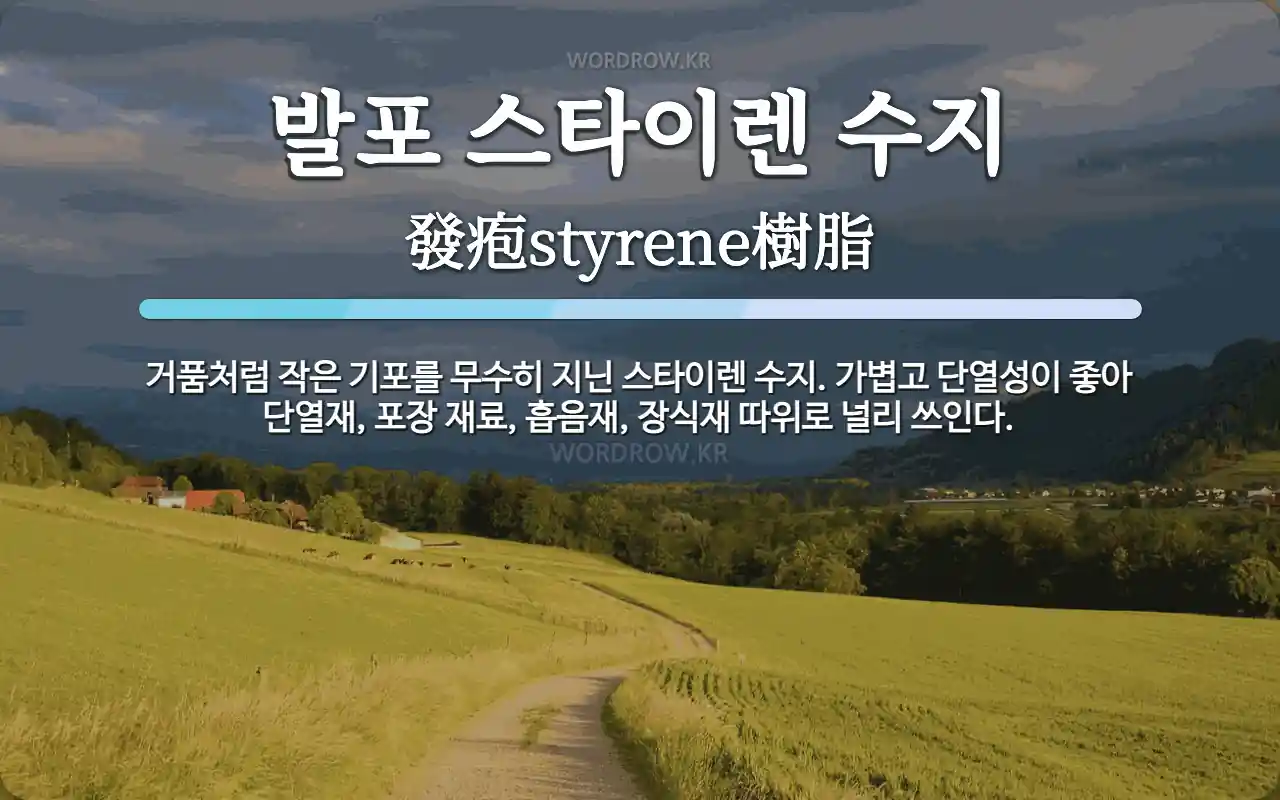 발포 스타이렌 수지 뜻 거품처럼 작은 기포를 무수히 지닌 스타이렌 수지 가볍고 단열성이 좋아 단열재 포장 재료