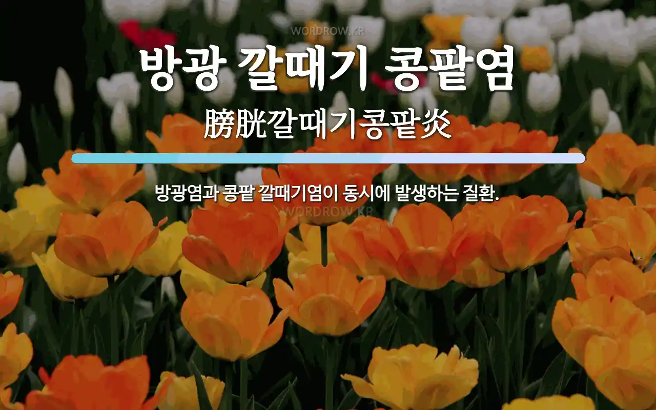 방광 깔때기 콩팥염 뜻 방광염과 콩팥 깔때기염이 동시에 발생하는 질환