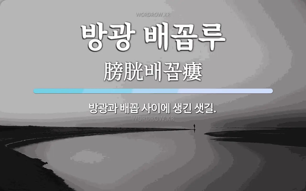 방광 배꼽루 뜻 방광과 배꼽 사이에 생긴 샛길