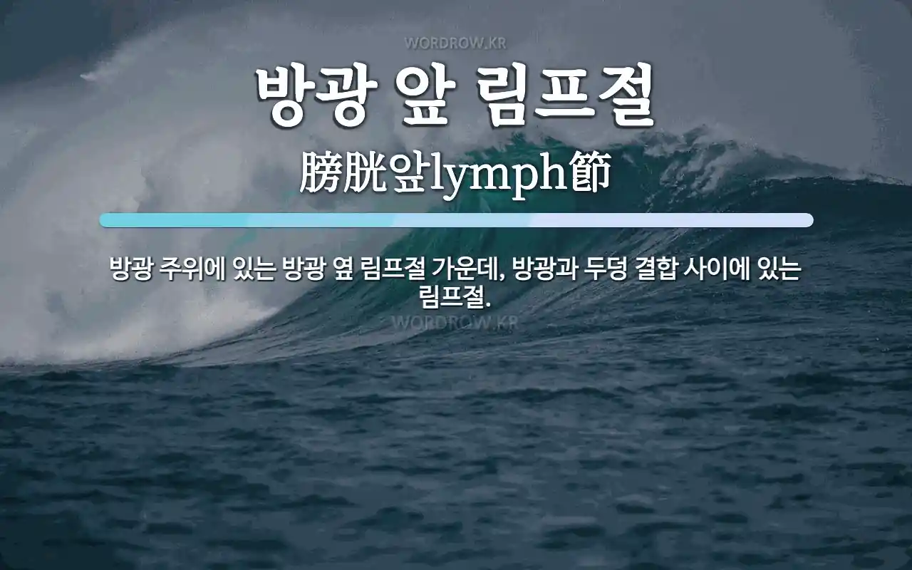 방광 앞 림프절 뜻 방광 주위에 있는 방광 옆 림프절 가운데 방광과 두덩 결합 사이에 있는 림프절