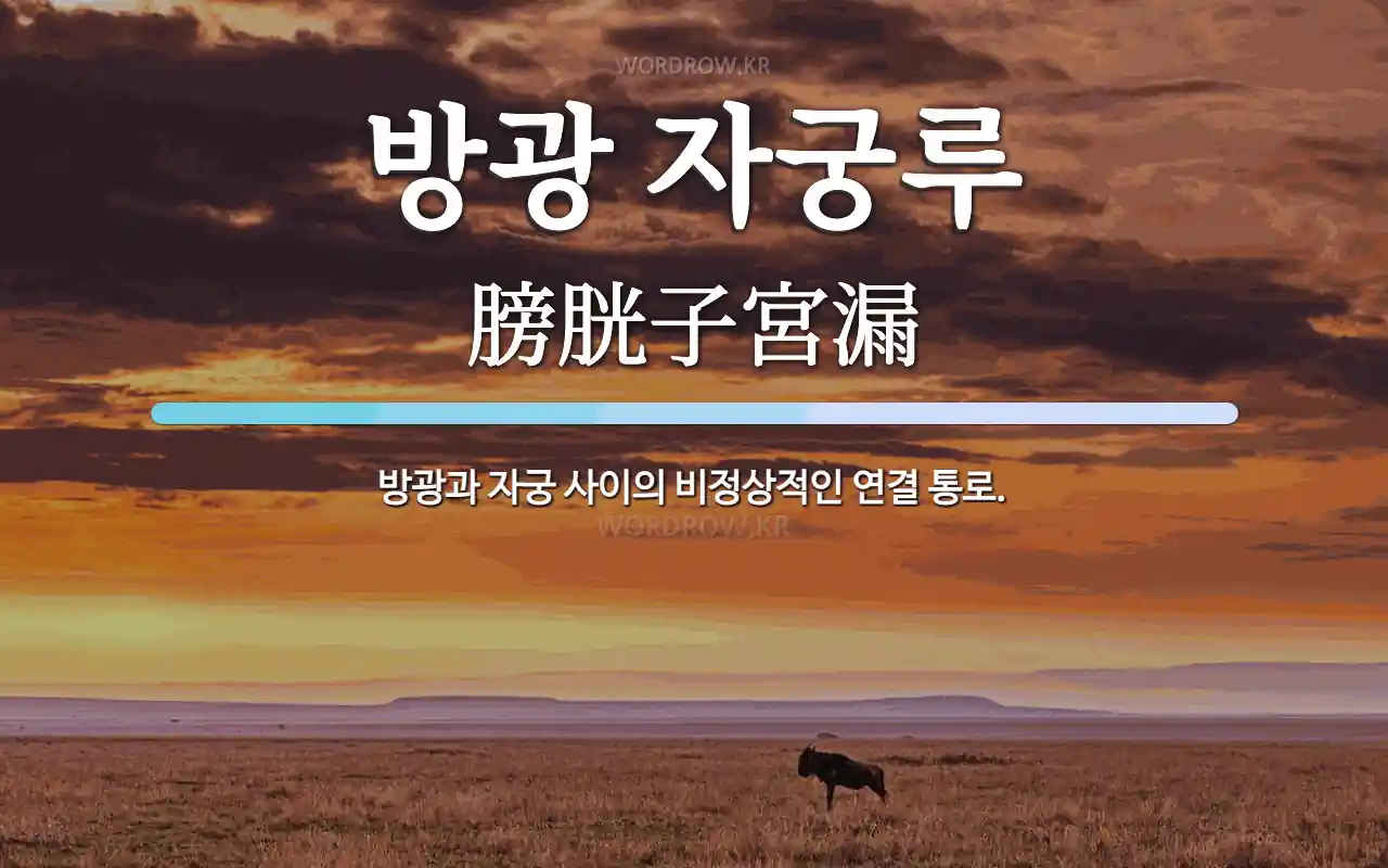 방광 자궁루 뜻 방광과 자궁 사이의 비정상적인 연결 통로