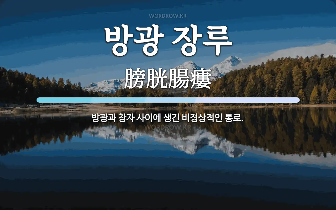 방광 장루 뜻 방광과 창자 사이에 생긴 비정상적인 통로