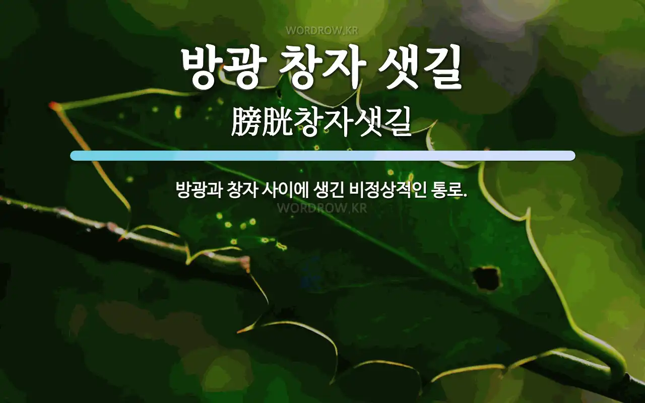방광 창자 샛길 뜻 방광과 창자 사이에 생긴 비정상적인 통로