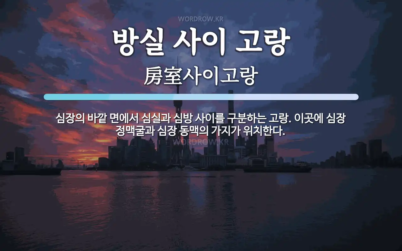방실 사이 고랑 뜻 심장의 바깥 면에서 심실과 심방 사이를 구분하는 고랑 이곳에 심장 정맥굴과 심장 동맥의