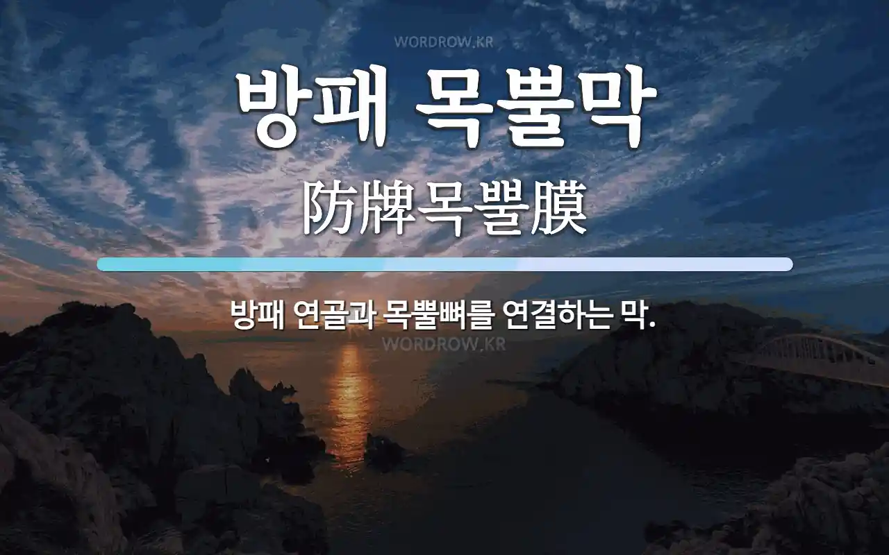 방패 목뿔막 뜻 방패 연골과 목뿔뼈를 연결하는 막