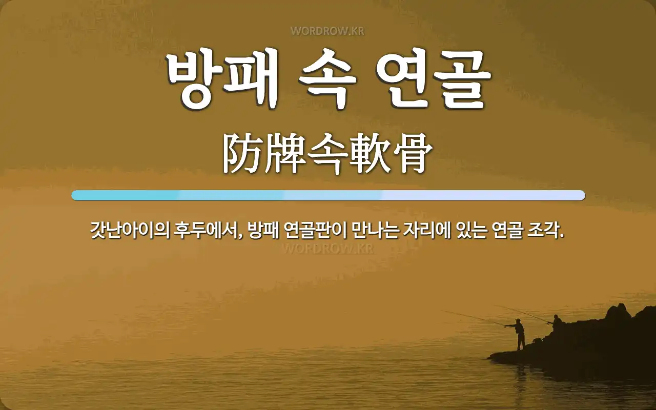 방패 속 연골 뜻 갓난아이의 후두에서 방패 연골판이 만나는 자리에 있는 연골 조각