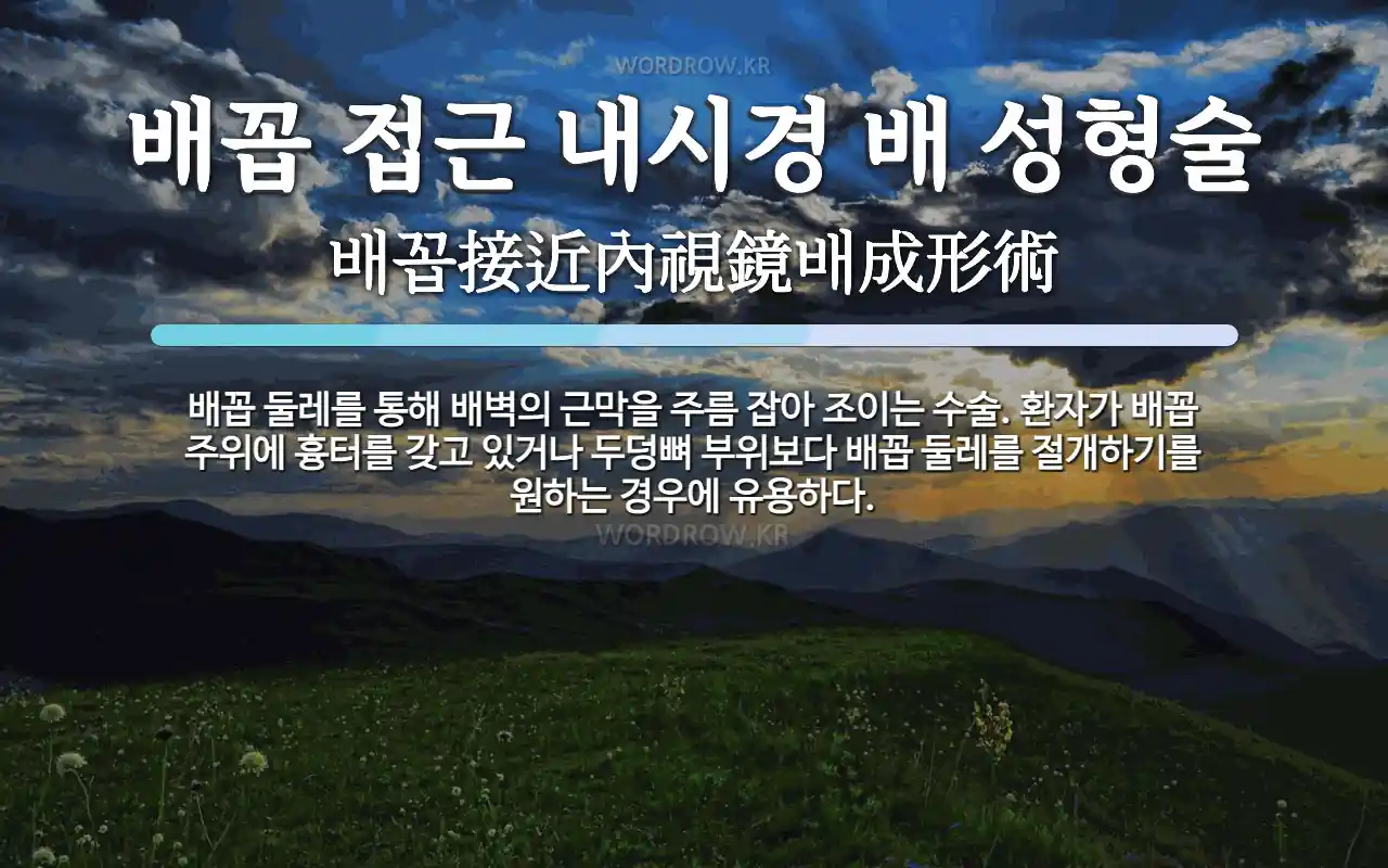 배꼽 접근 내시경 배 성형술 뜻 배꼽 둘레를 통해 배벽의 근막을 주름 잡아 조이는 수술 환자가 배꼽 주위에 흉터를 갖고
