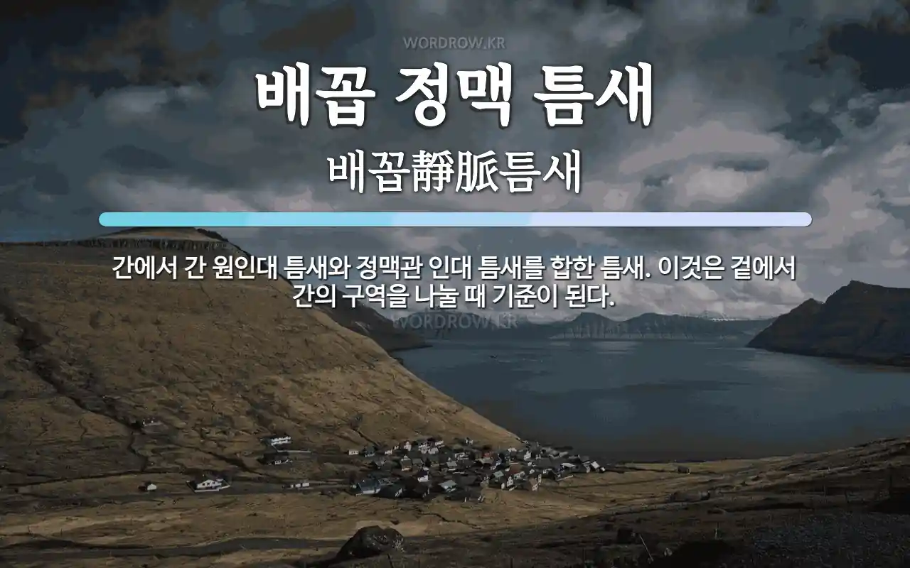 배꼽 정맥 틈새 뜻 간에서 간 원인대 틈새와 정맥관 인대 틈새를 합한 틈새 이것은 겉에서 간의 구역을 나눌