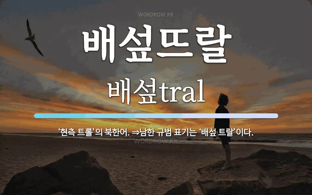 배섶뜨랄 뜻 ‘현측 트롤의 북한어 ⇒남한 규범 표기는 ‘배섶 트랄이다