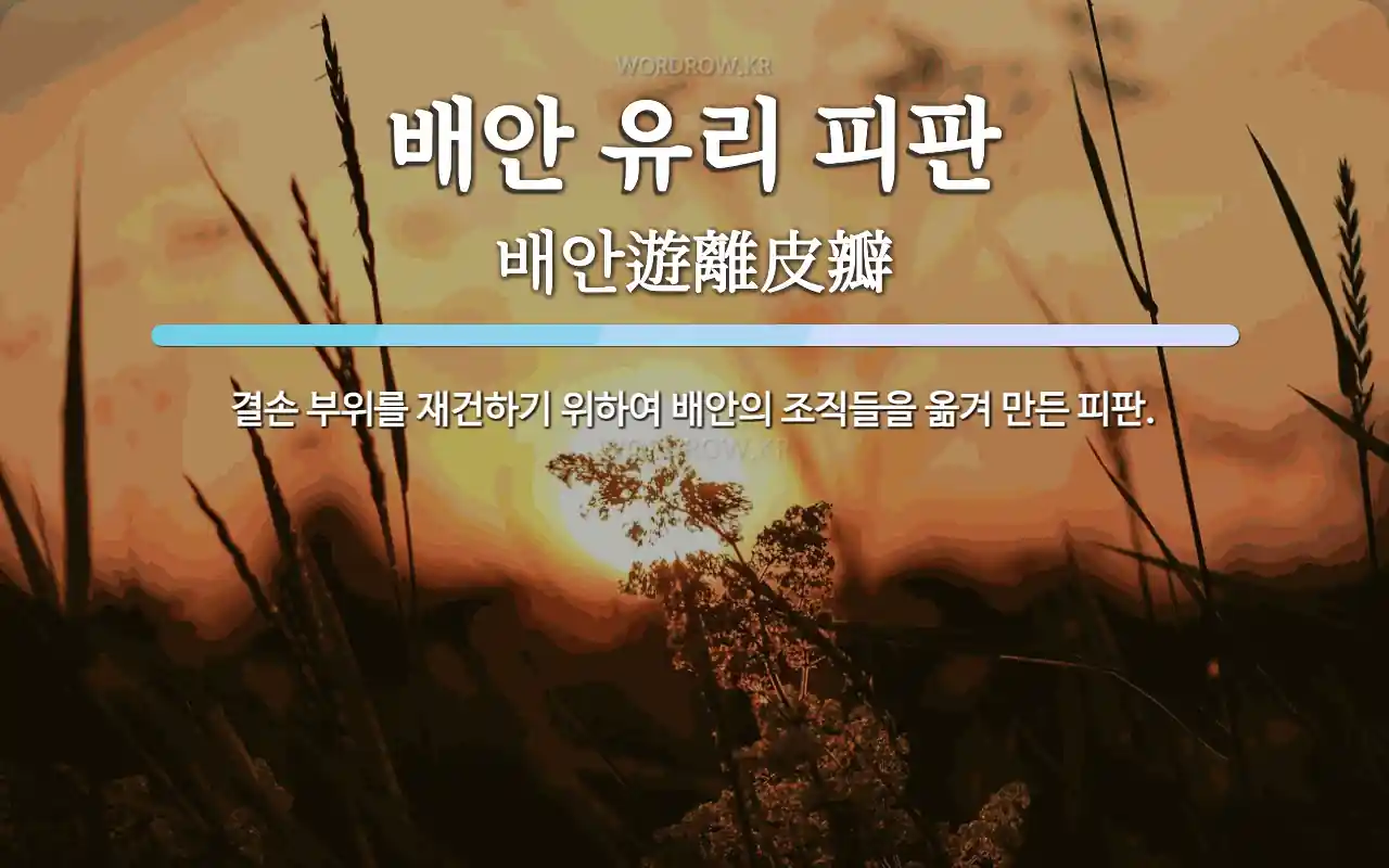 배안 유리 피판 뜻 결손 부위를 재건하기 위하여 배안의 조직들을 옮겨 만든 피판