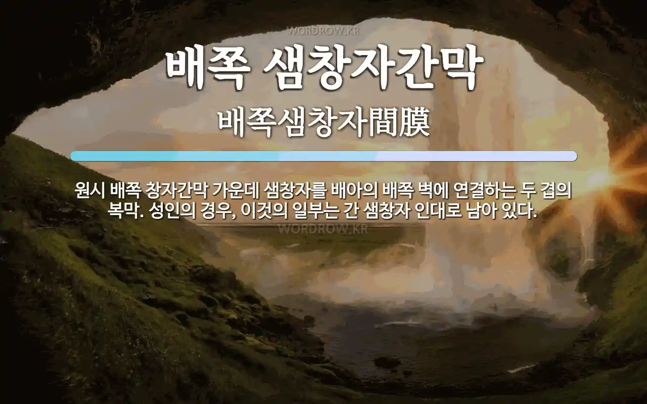 배쪽 샘창자간막 뜻 원시 배쪽 창자간막 가운데 샘창자를 배아의 배쪽 벽에 연결하는 두 겹의 복막 성인의 경우