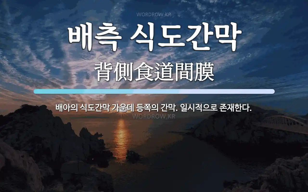 배측 식도간막 뜻 배아의 식도간막 가운데 등쪽의 간막 일시적으로 존재한다