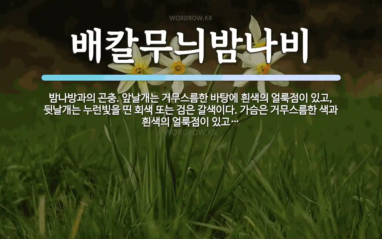배칼무늬밤나비 뜻 밤나방과의 곤충 앞날개는 거무스름한 바탕에 흰색의 얼룩점이 있고 뒷날개는 누런빛을 띤