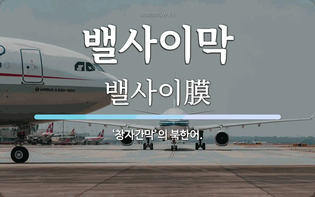 밸사이막 뜻 ‘창자간막의 북한어