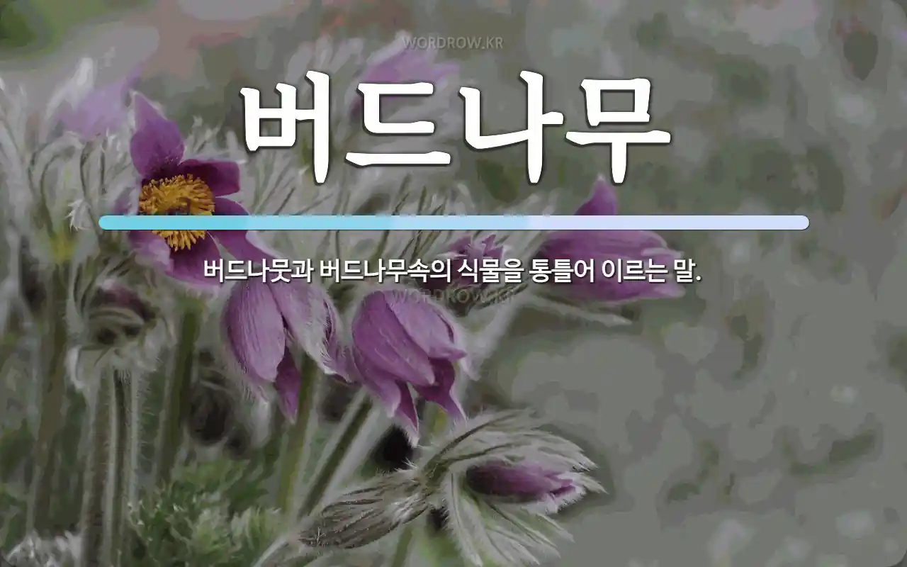 버드나무 뜻 버드나뭇과 버드나무속의 식물을 통틀어 이르는 말