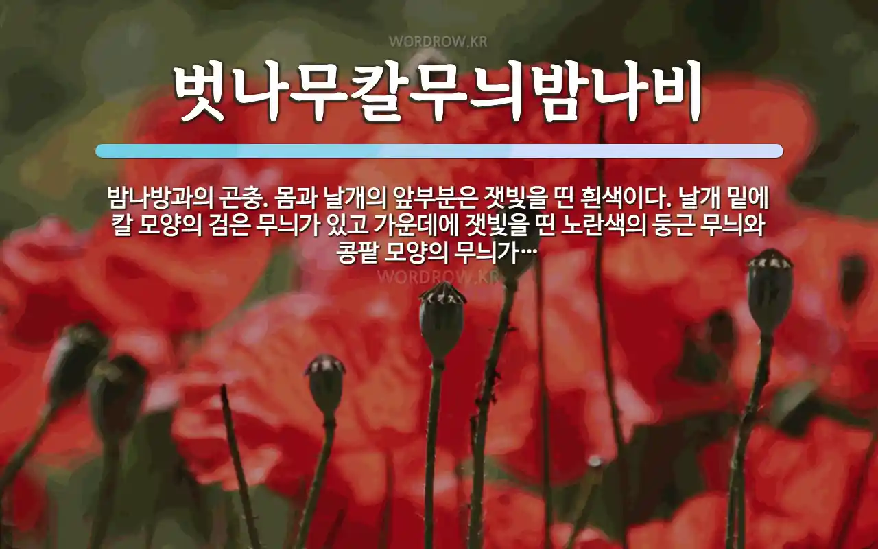 벗나무칼무늬밤나비 뜻 밤나방과의 곤충 몸과 날개의 앞부분은 잿빛을 띤 흰색이다 날개 밑에 칼 모양의 검은 무