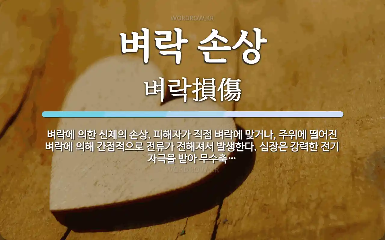벼락 손상 뜻 벼락에 의한 신체의 손상 피해자가 직접 벼락에 맞거나 주위에 떨어진 벼락에 의해 간접적