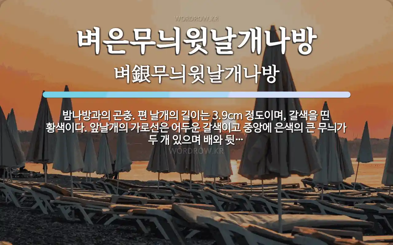 벼은무늬윗날개나방 뜻 밤나방과의 곤충 편 날개의 길이는 39cm 정도이며 갈색을 띤 황색이다 앞날개의 가